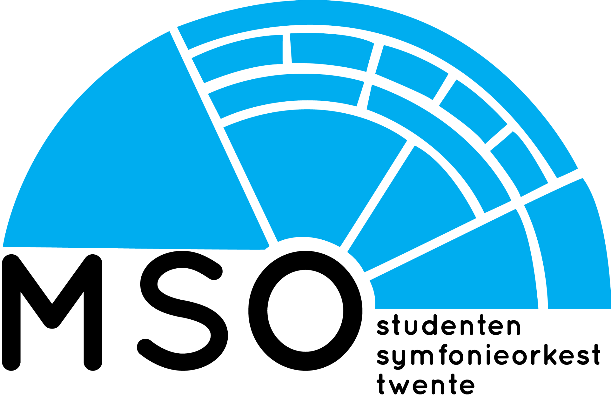 Board – Musica Silvestra Orchestra